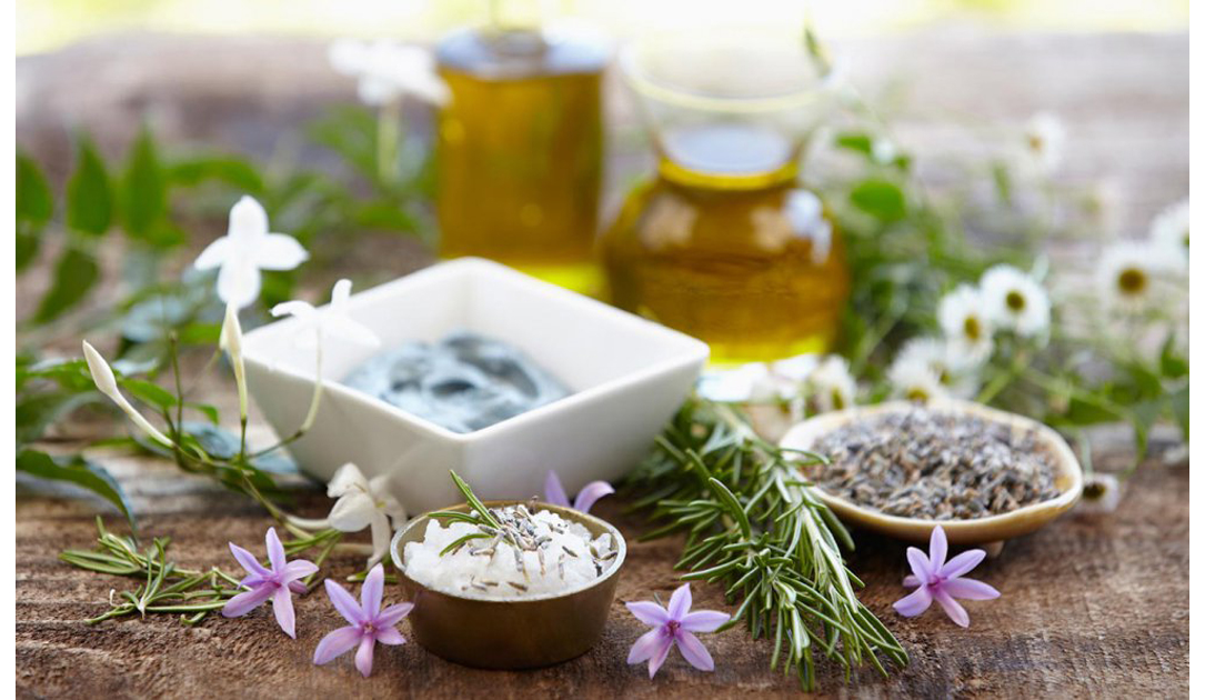 Quelles sont les méthodes d'extraction des principes actifs ? - Actu ...